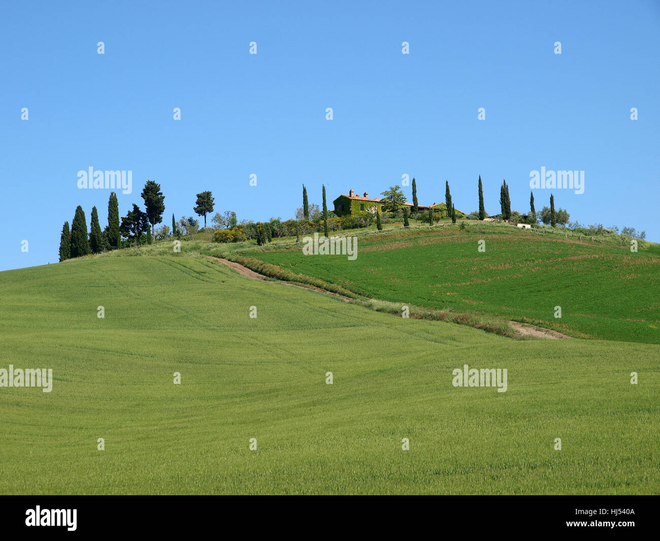tuscany, italian, landscape, scenery, countryside, nature, italy ...