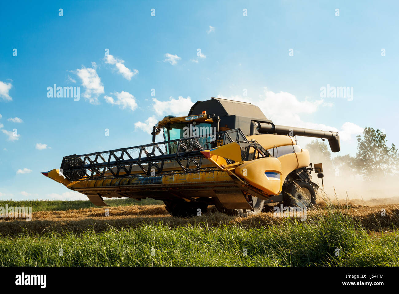 field, wheat, harvester, harvesting, robot, automatic machine, machine ...