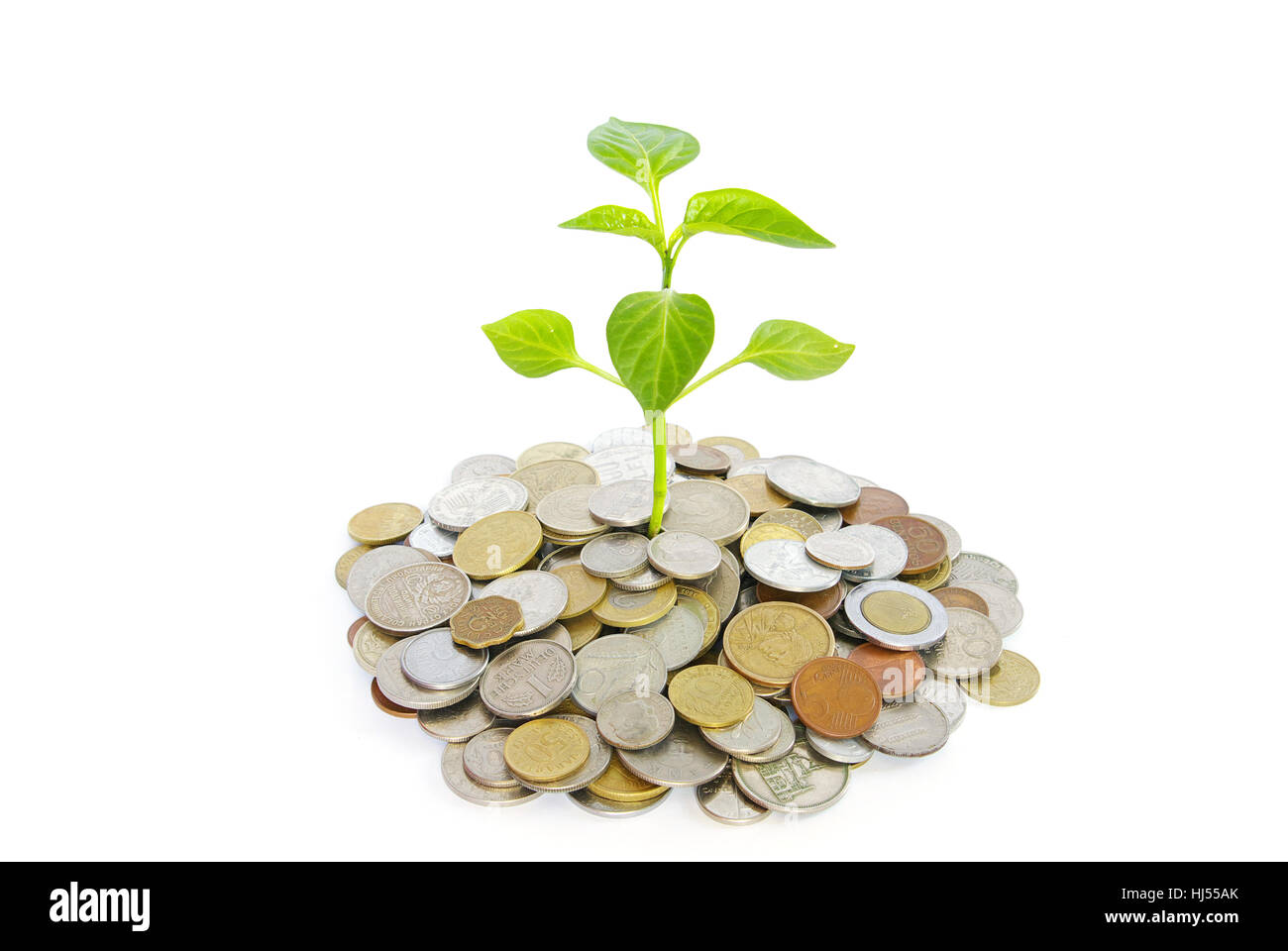 leaf, model, design, project, concept, plan, draft, tree, currency ...