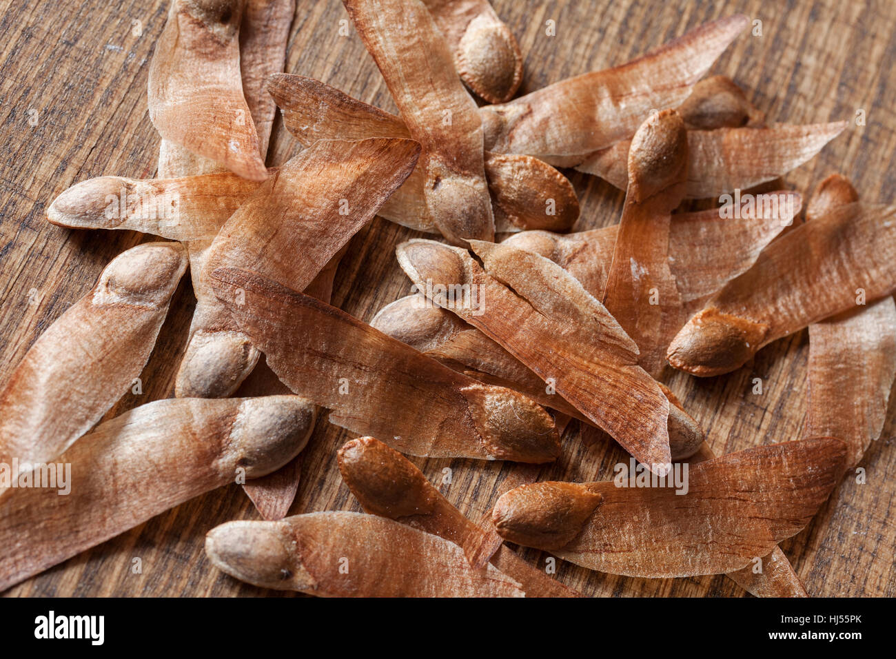 Dried fruits cones on wooden table, note shallow depth of field Stock ...