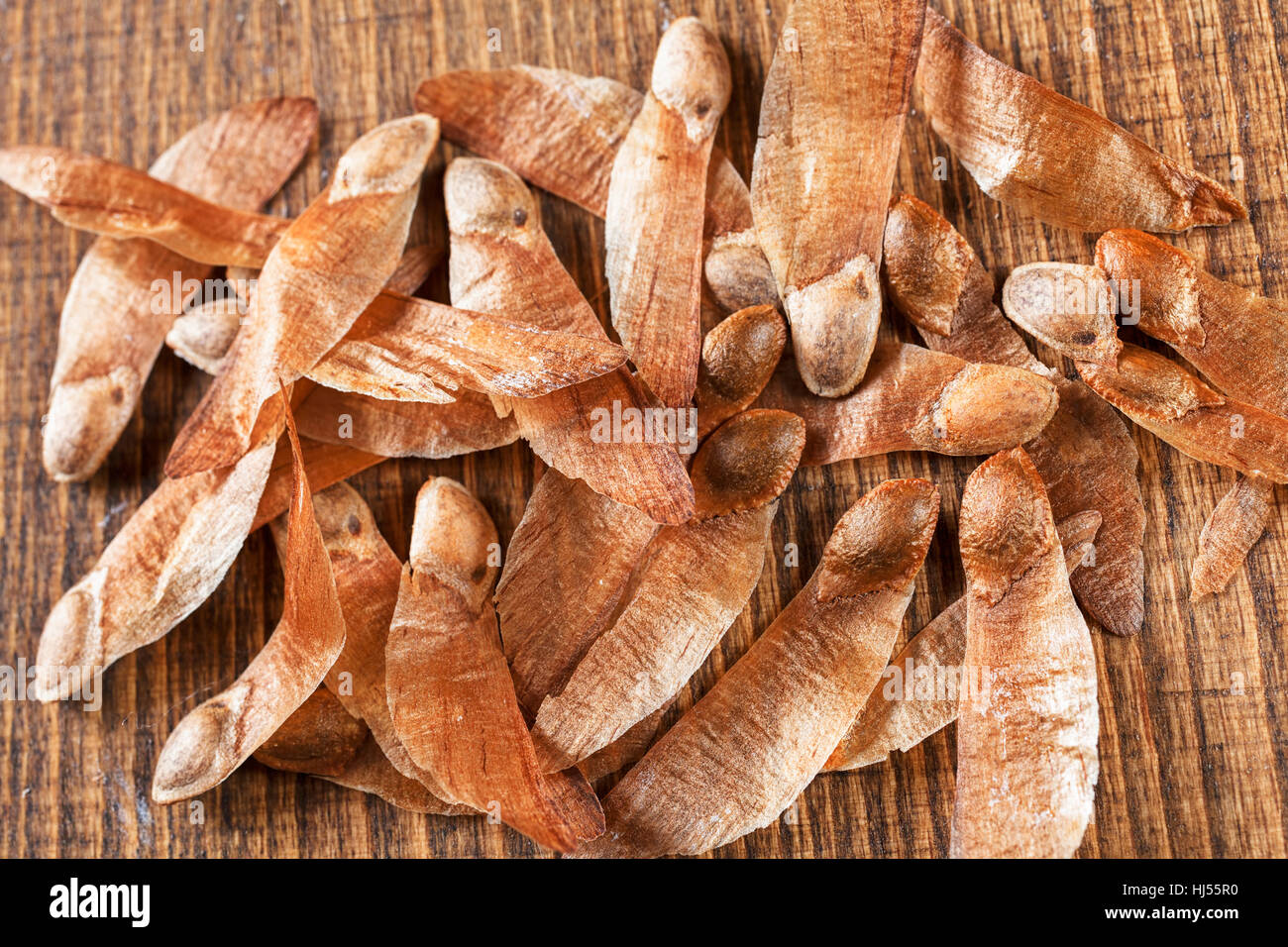 Dried fruits cones on wooden table, note shallow depth of field Stock ...