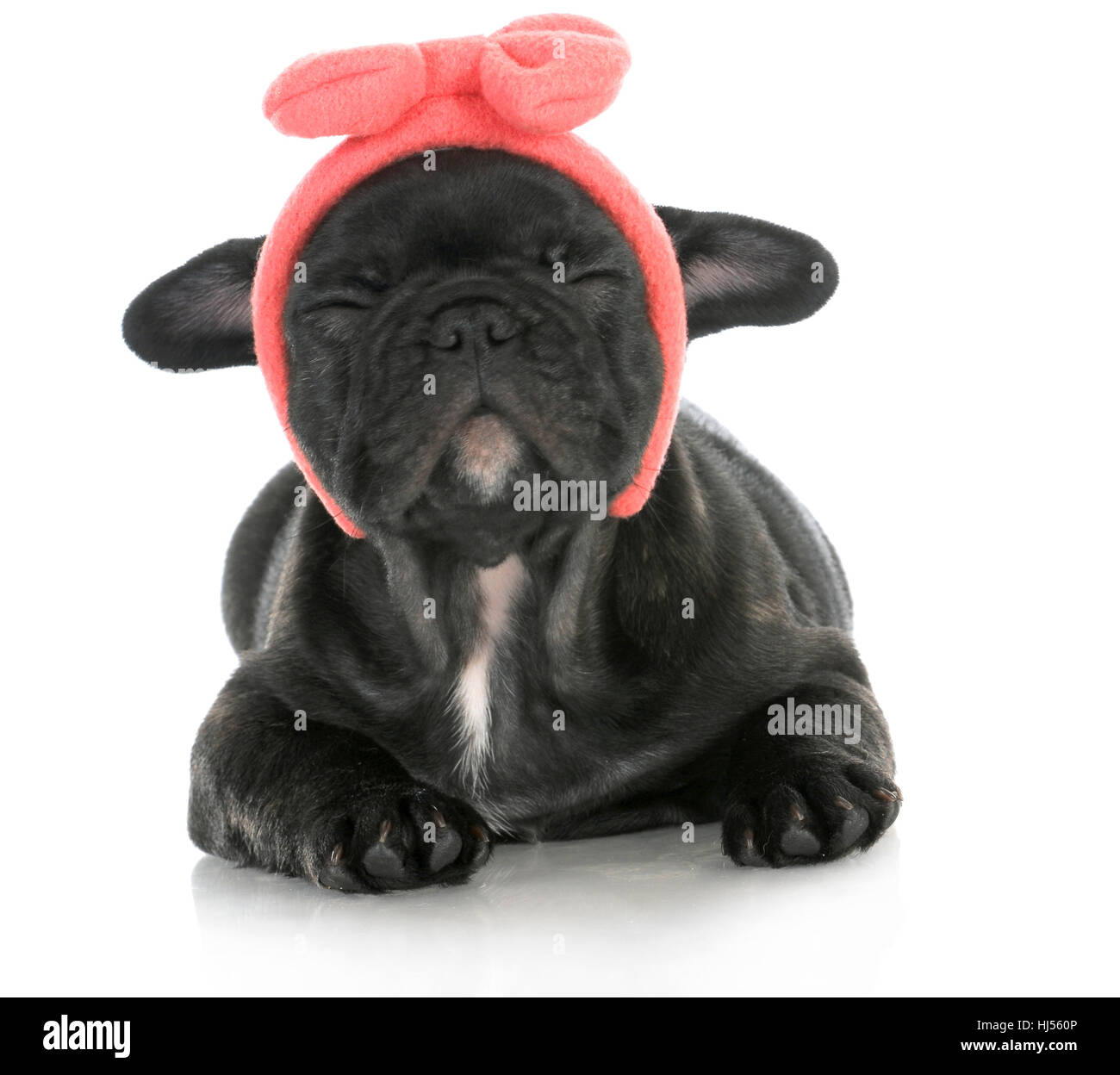 Comic silly hi-res stock photography and images - Alamy