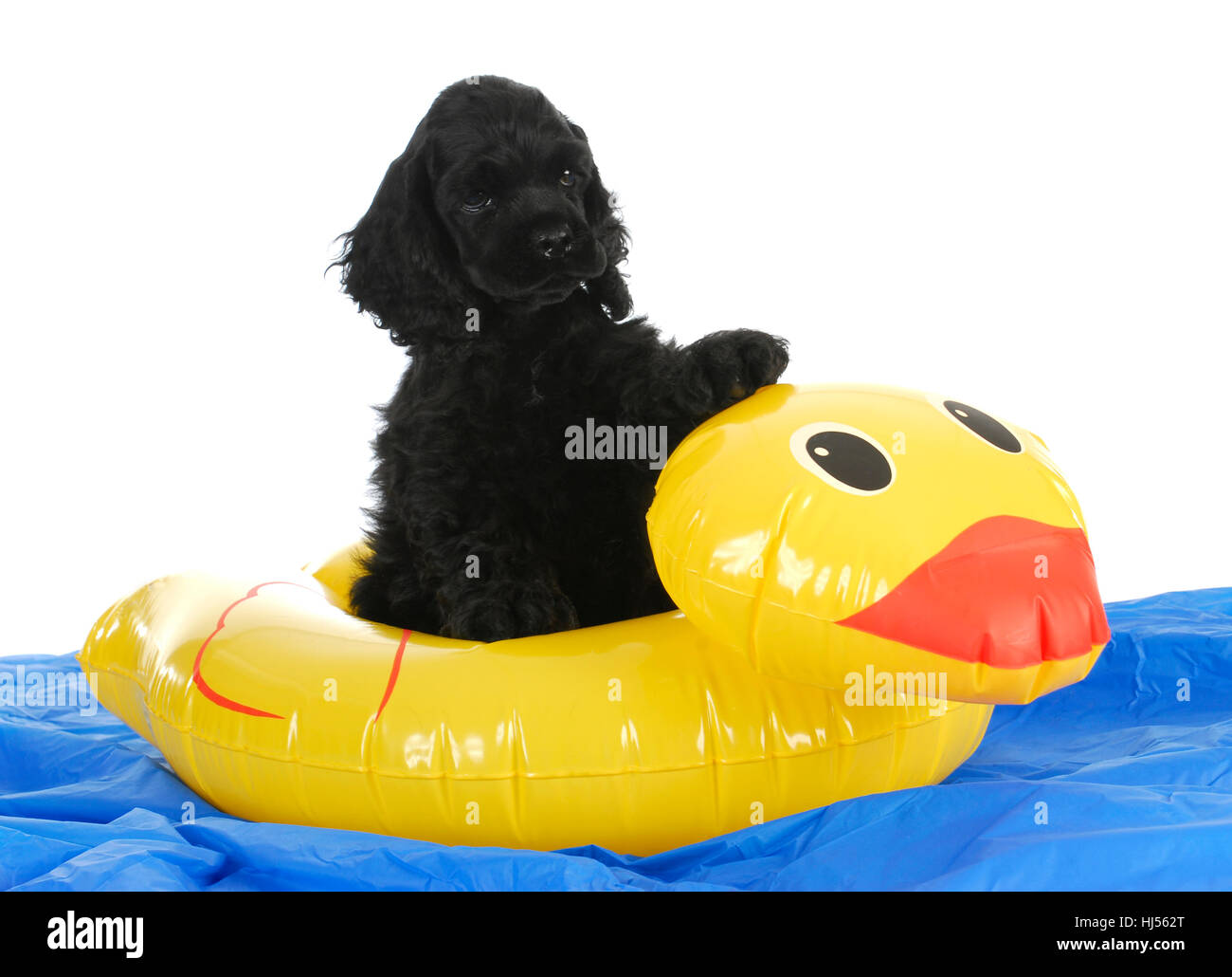 life, exist, existence, living, lives, live, isolated, model, design ...