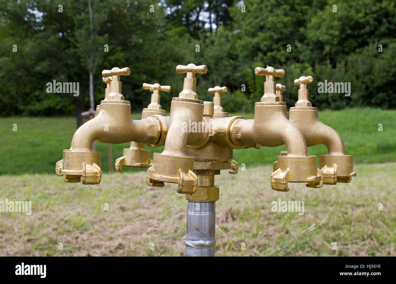 garden, tap, drinking water, water, gardens, house, building, park ...