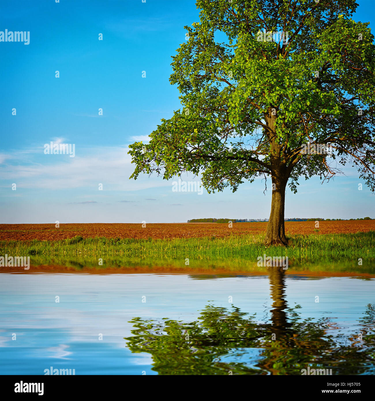sight, view, outlook, perspective, vista, panorama, lookout, landscape ...
