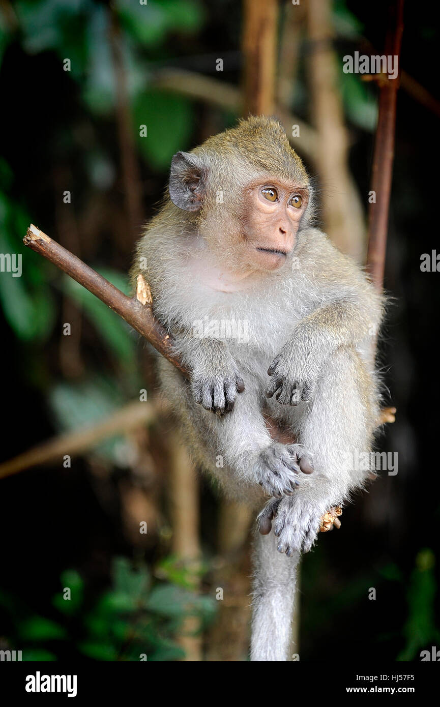 Chillen hi-res stock photography and images - Alamy