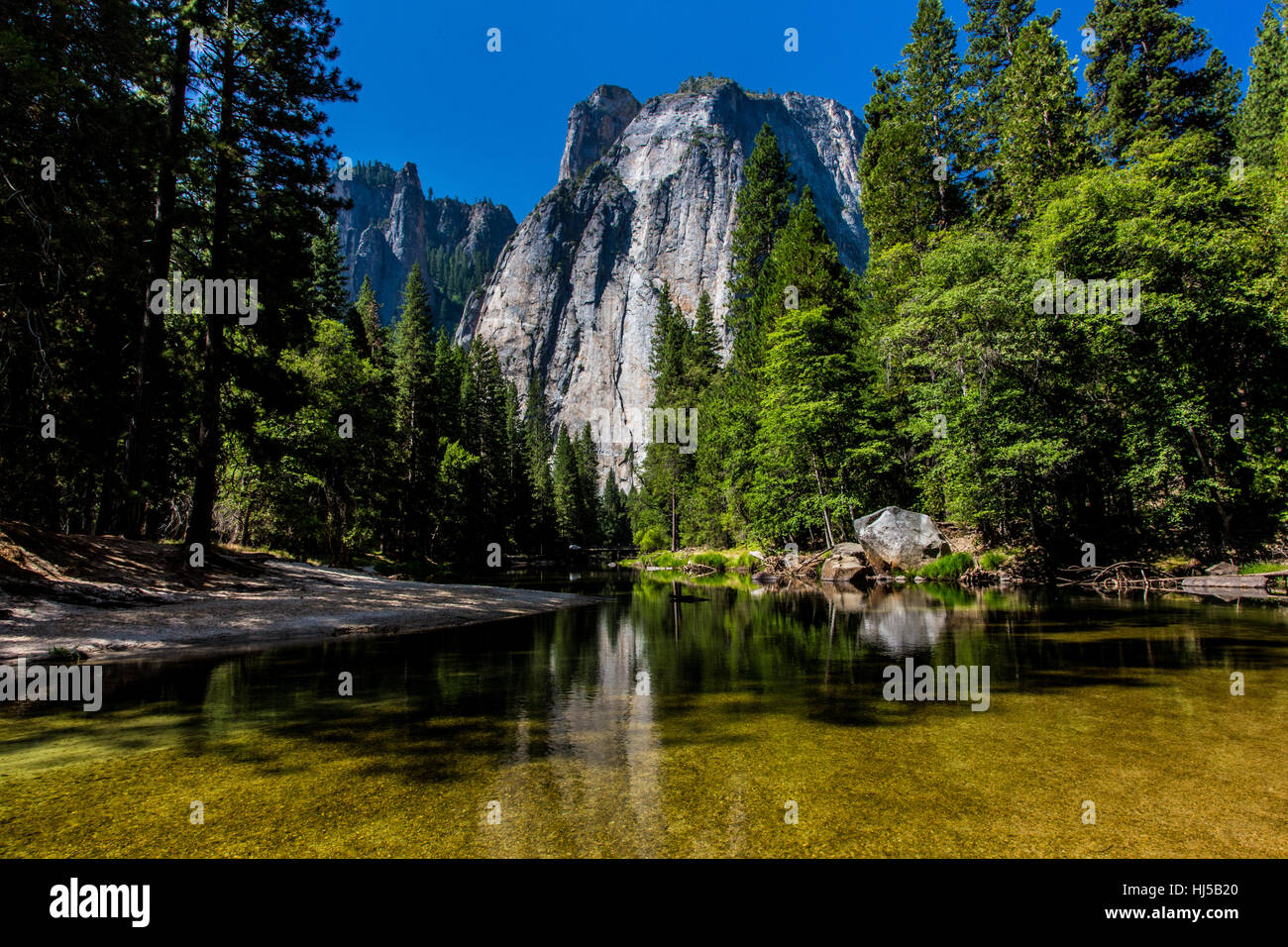travel, environment, enviroment, tree, trees, park, national park ...