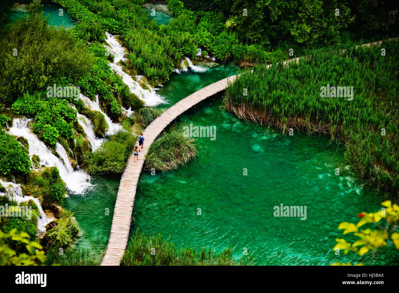 bridge, peace, trip, excursion, path, way, journey, forest, water ...