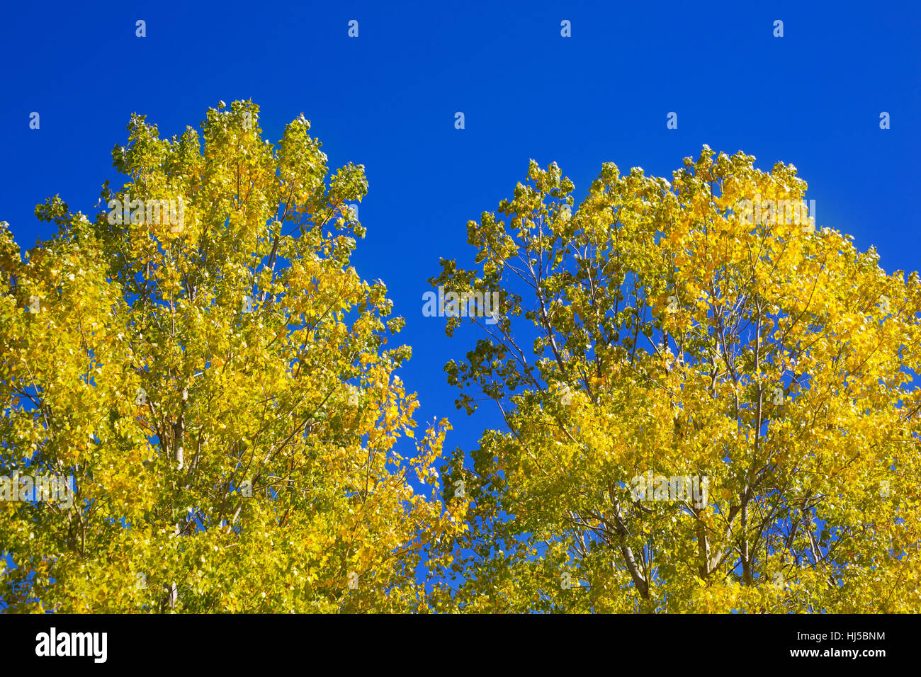 blue, beautiful, beauteously, nice, detail, environment, enviroment ...