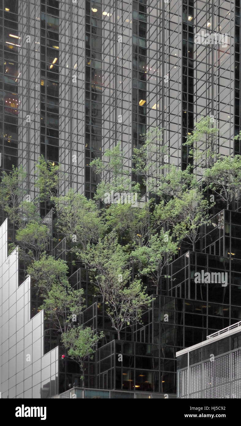 trump tower detail Stock Photo - Alamy