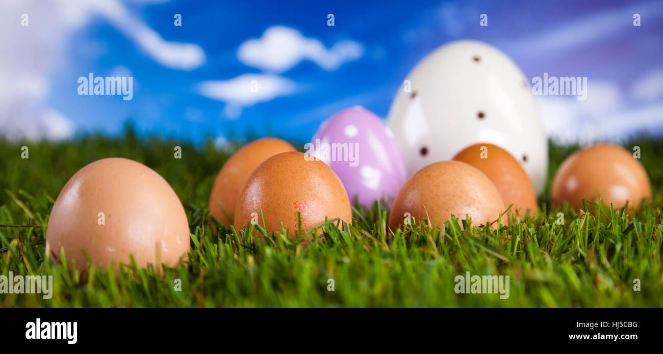 food, aliment, easter, traditional, eggs, christian, april, eating, eat ...