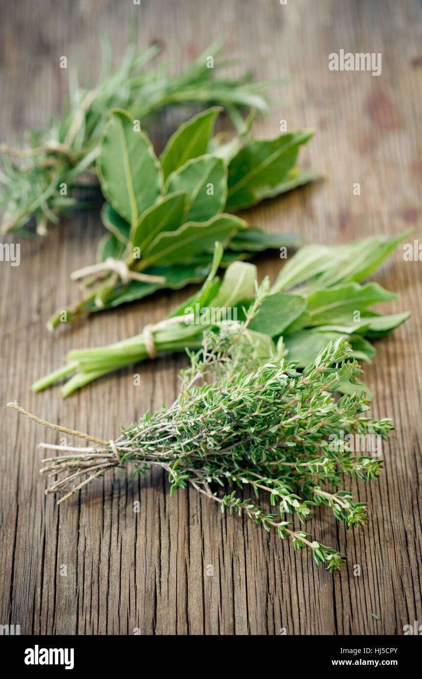 leaf, spice, wood, freshness, flavour, aromatic, kitchen, cuisine, boil ...