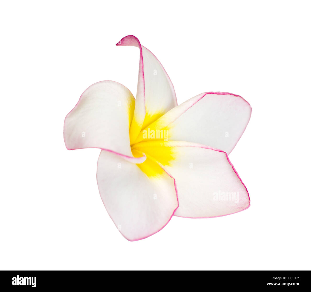 object, single, isolated, model, design, project, concept, plan, draft ...