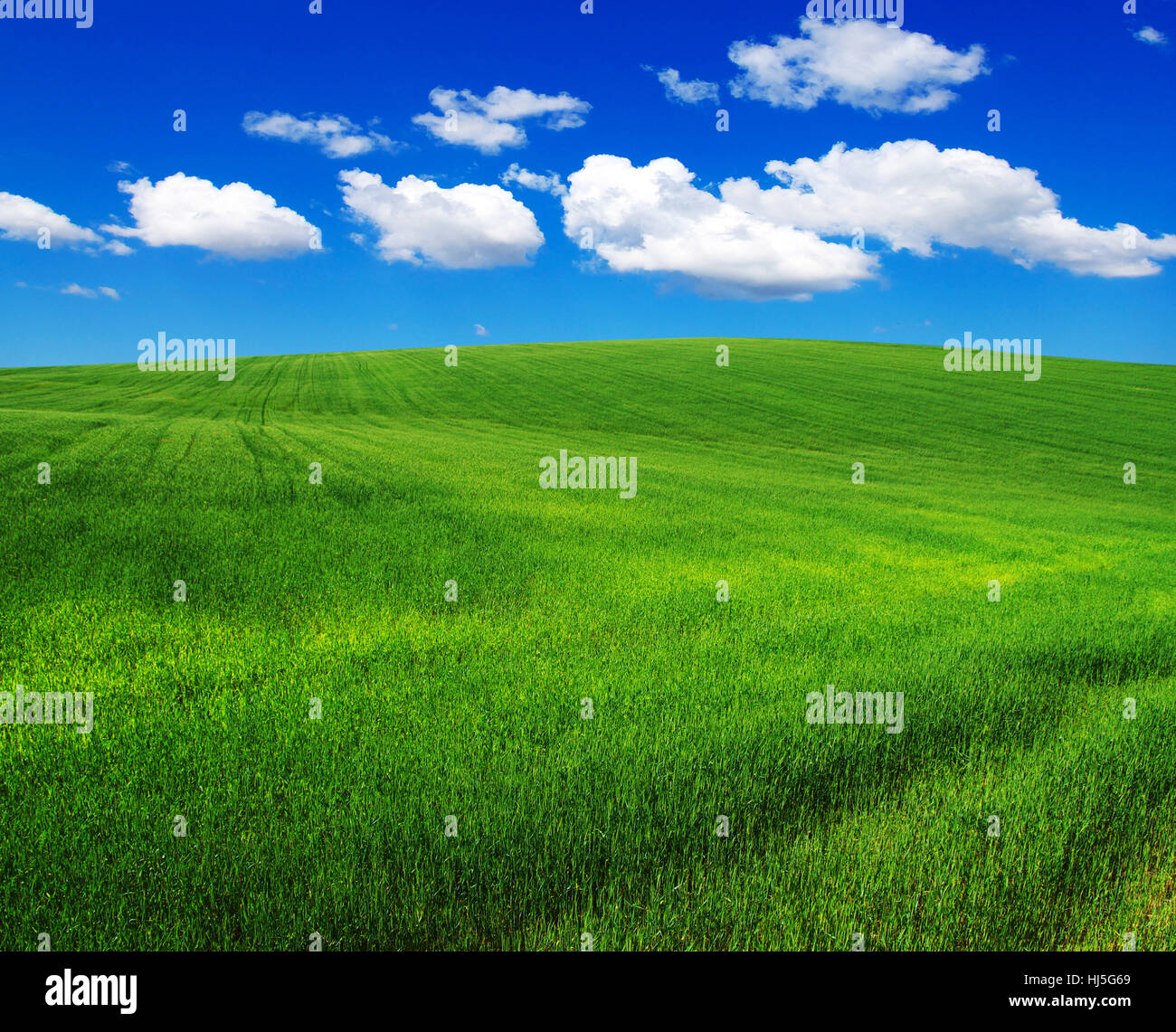 blue, beautiful, beauteously, nice, horizon, heaven, paradise ...