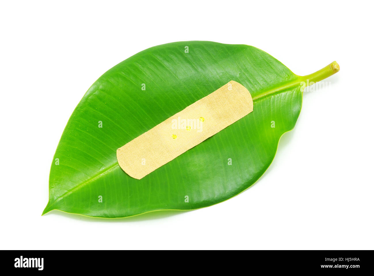 life, exist, existence, living, lives, live, social, model, design ...