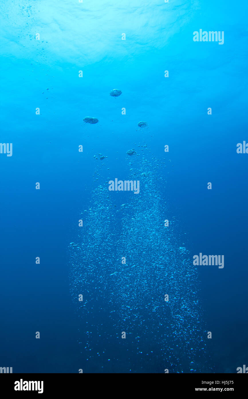 blue,underwater,bubbles,diving,salt water,sea,ocean,water,scuba,water ...