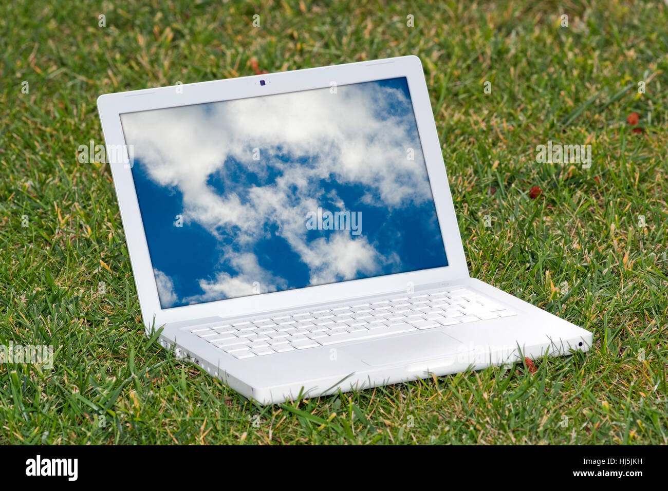 blue, laptop, notebook, computers, computer, keyboard, PC, beautiful ...