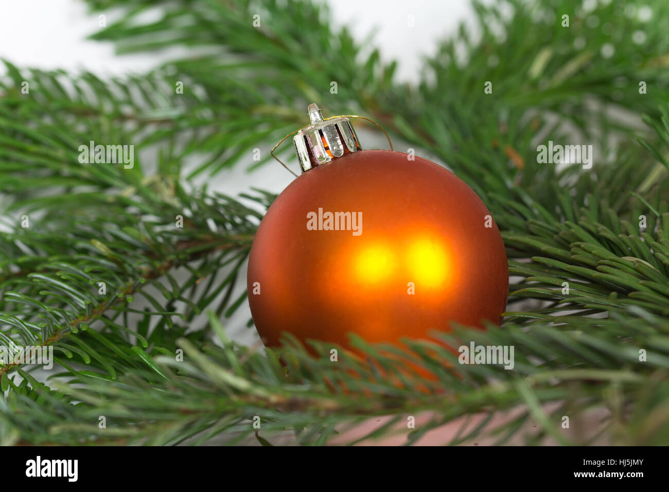 blue, celebrate, reveling, revels, celebrates, silver, branches, poster ...