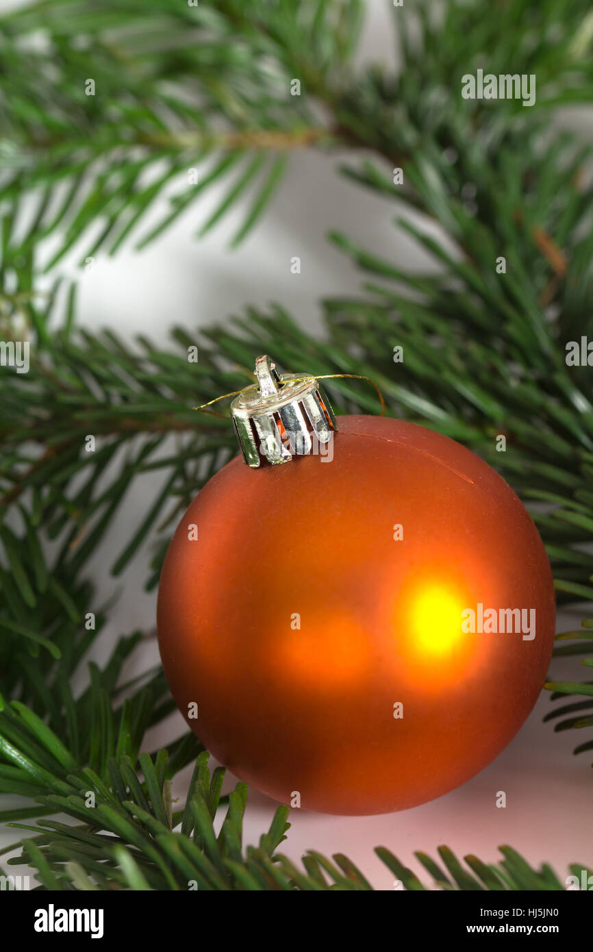 blue, celebrate, reveling, revels, celebrates, silver, branches, poster ...