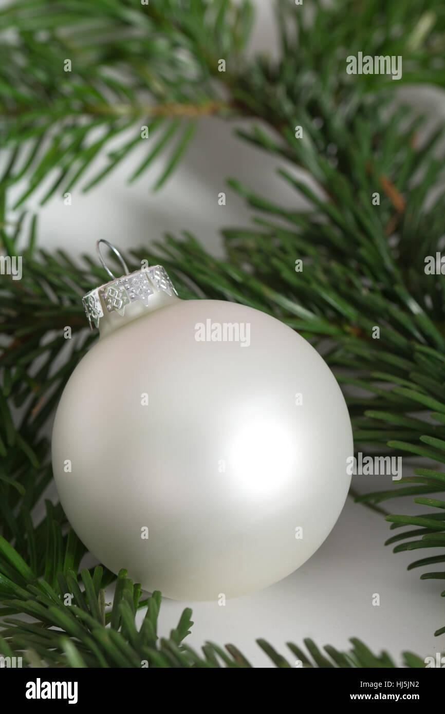 blue, celebrate, reveling, revels, celebrates, silver, branches, poster ...