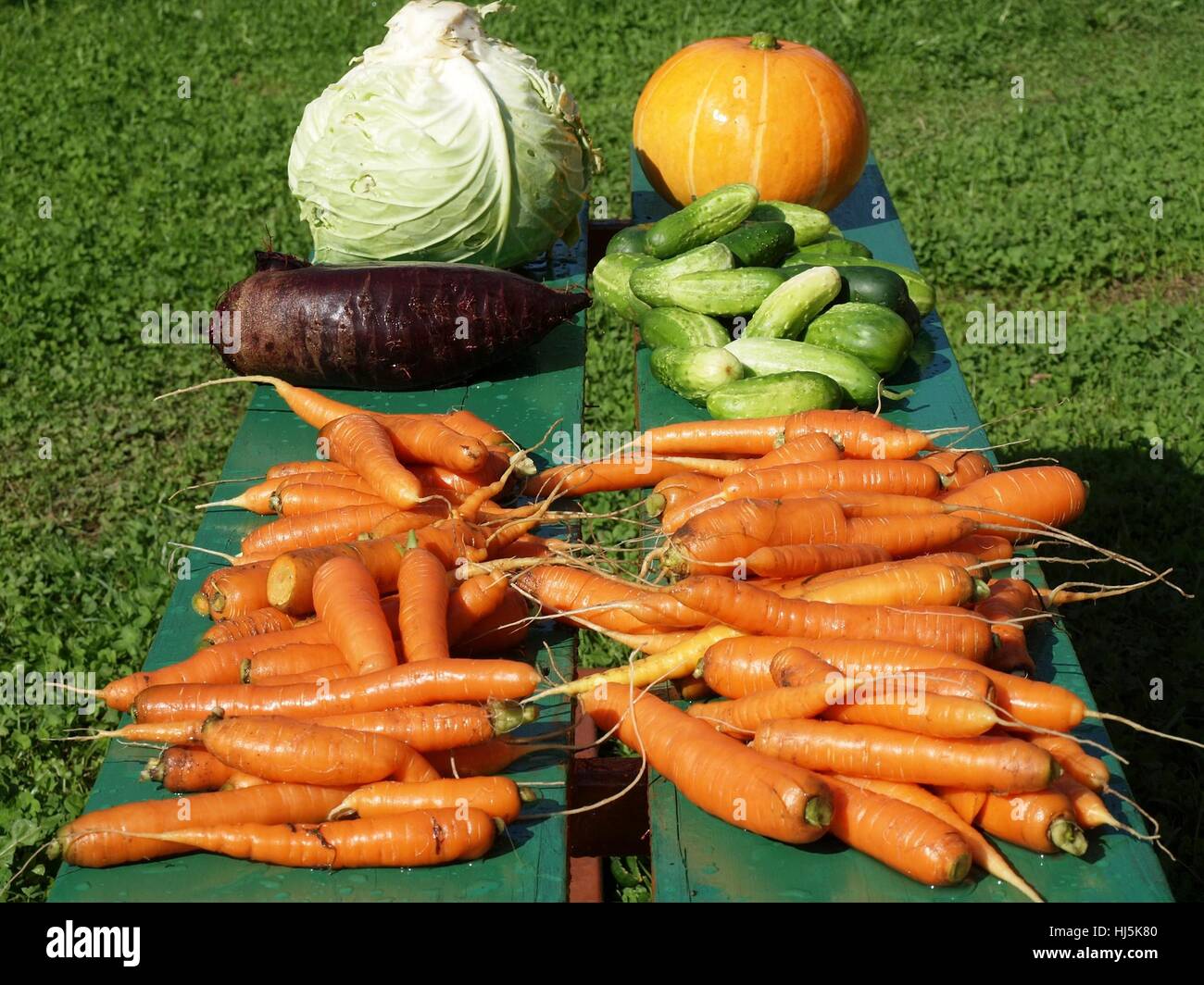 Fresh food from the garden Stock Photo - Alamy