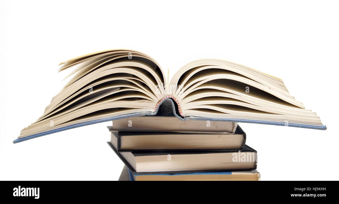 study, objects, education, big, large, enormous, extreme, powerful ...