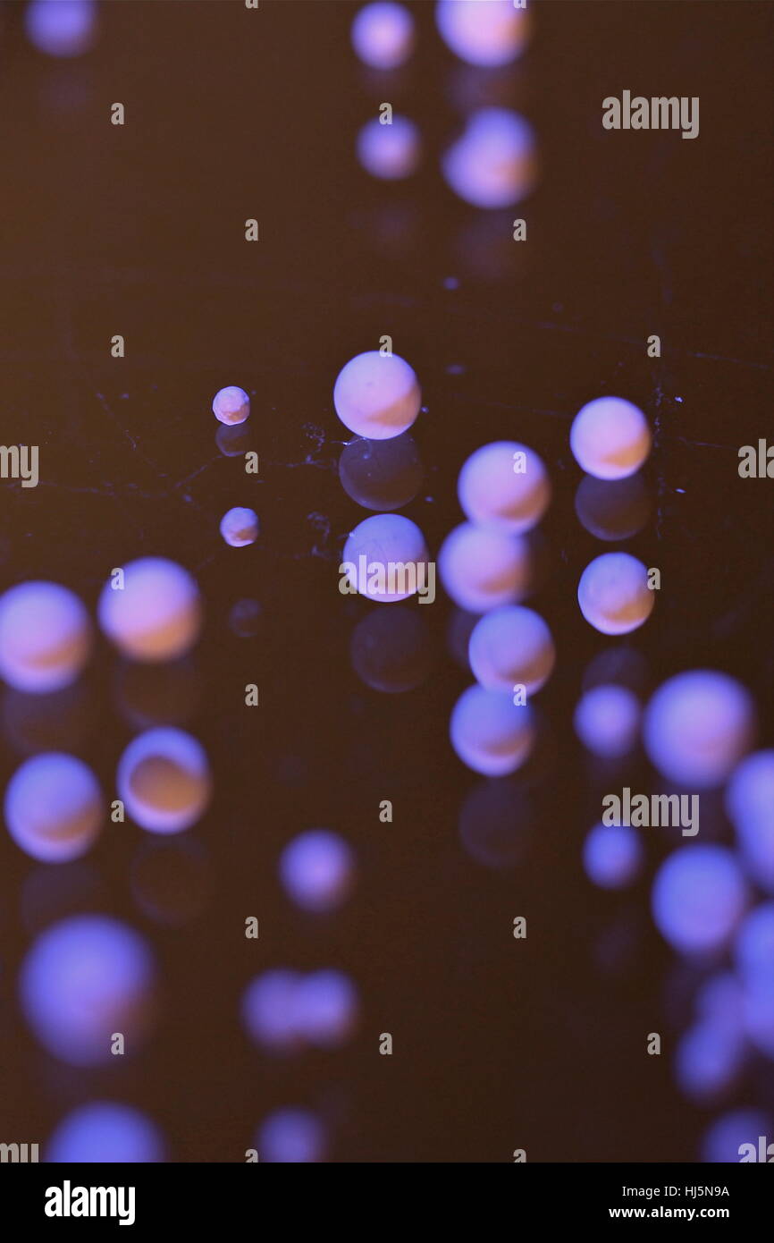 Group object photos hi-res stock photography and images - Alamy