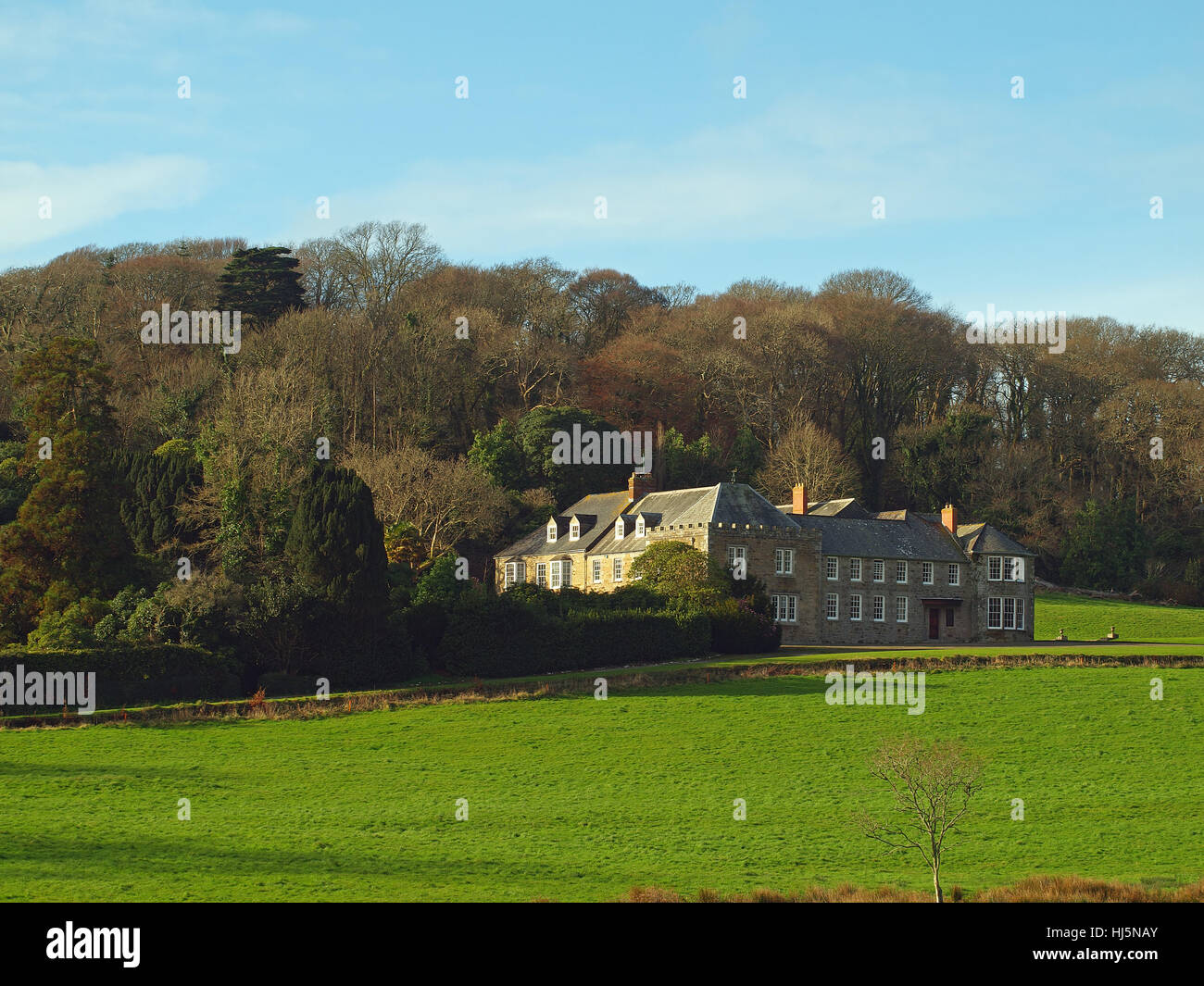 house, building, tree, trees, england, estate, landscape, scenery ...