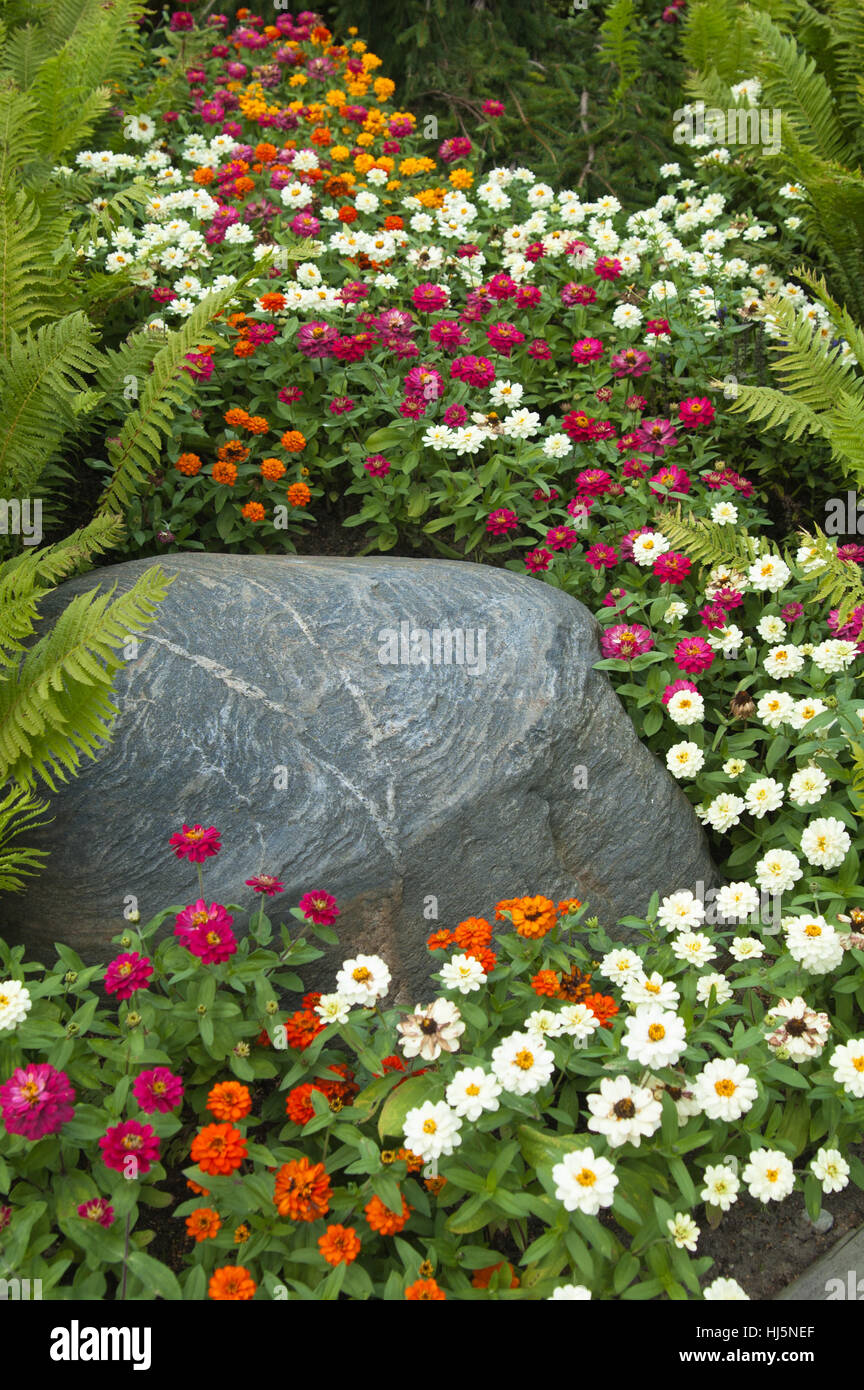 beautiful, beauteously, nice, leaf, composition, colour, model, design ...