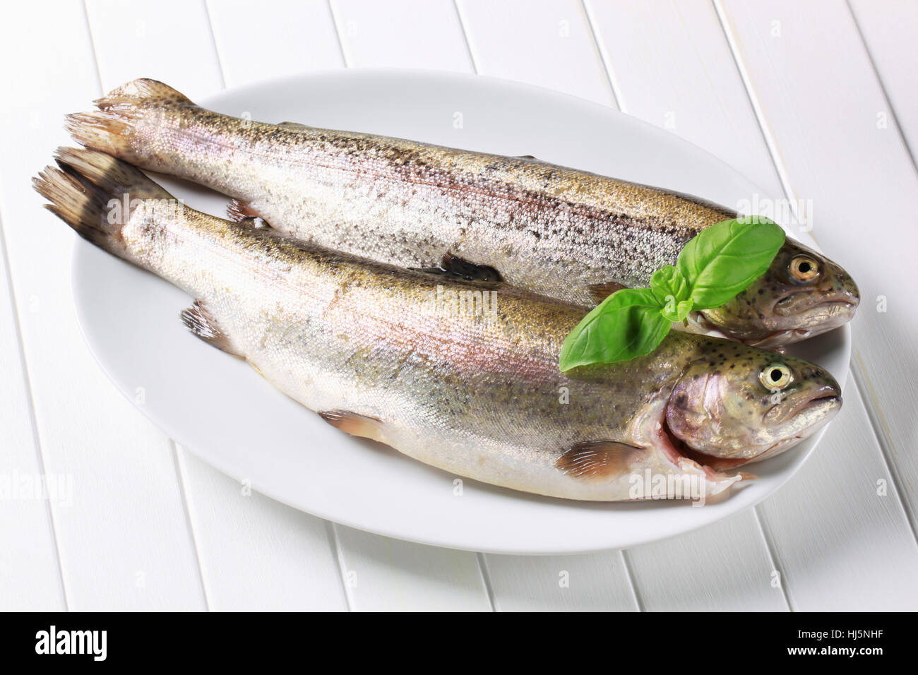 Oval fish hi-res stock photography and images - Alamy