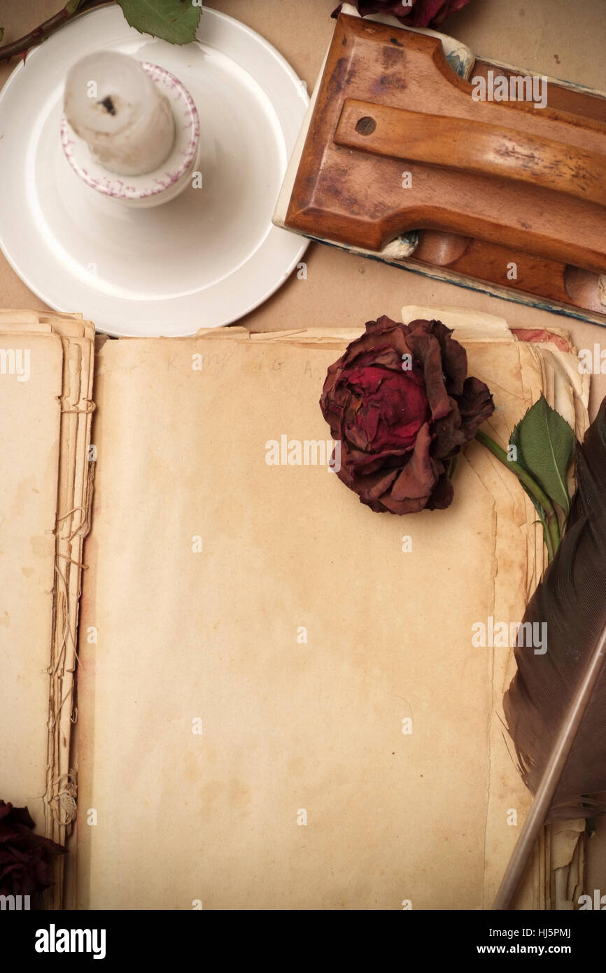 write, wrote, writing, writes, religion, flower, rose, plant, brown ...