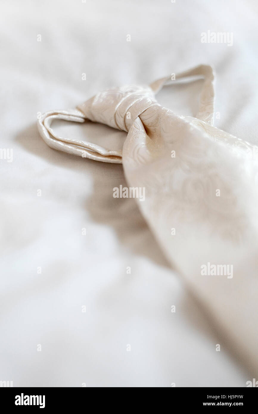 Plastron hi-res stock photography and images - Alamy