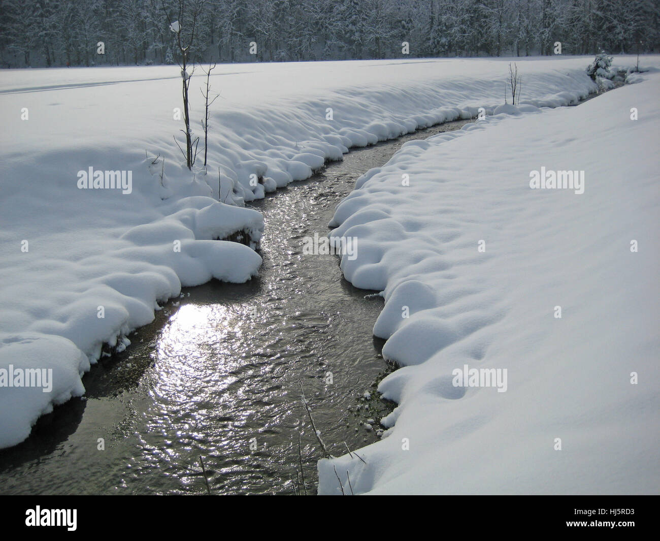 cold, stream, frozen, icicle, icicles, river bed, freeze, river, water ...