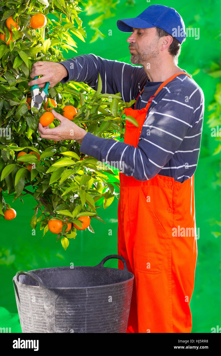 pick, blue, humans, human beings, people, folk, persons, human, human ...