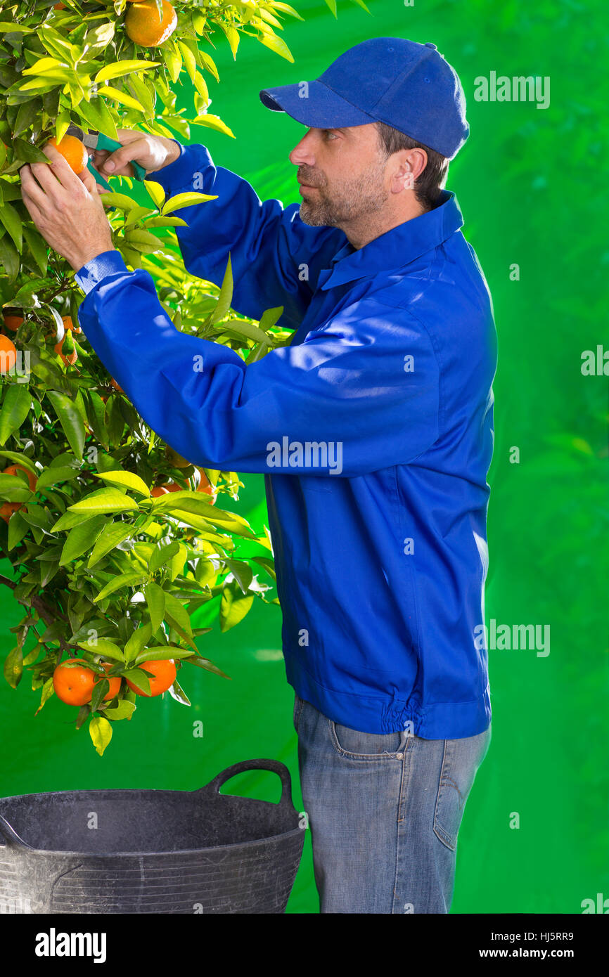 pick, blue, humans, human beings, people, folk, persons, human, human ...