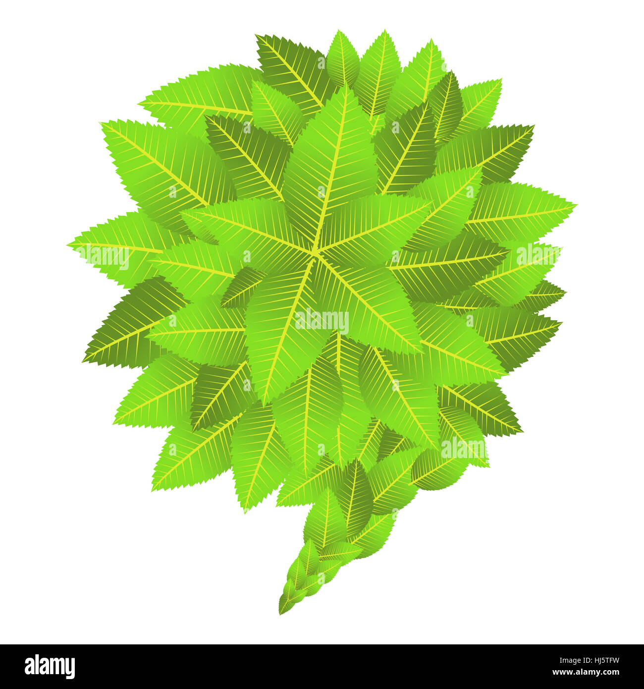 Talking leaves green leaf foliage group hi-res stock photography and ...