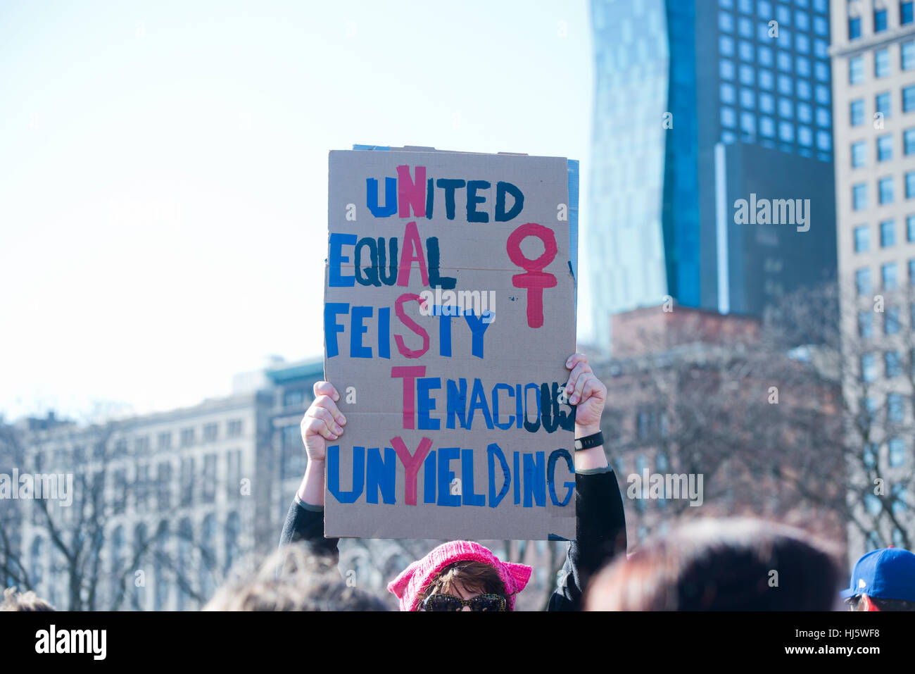 Chicago, Illinois, USA. 21st January, 2017. Signs from Chicago ...