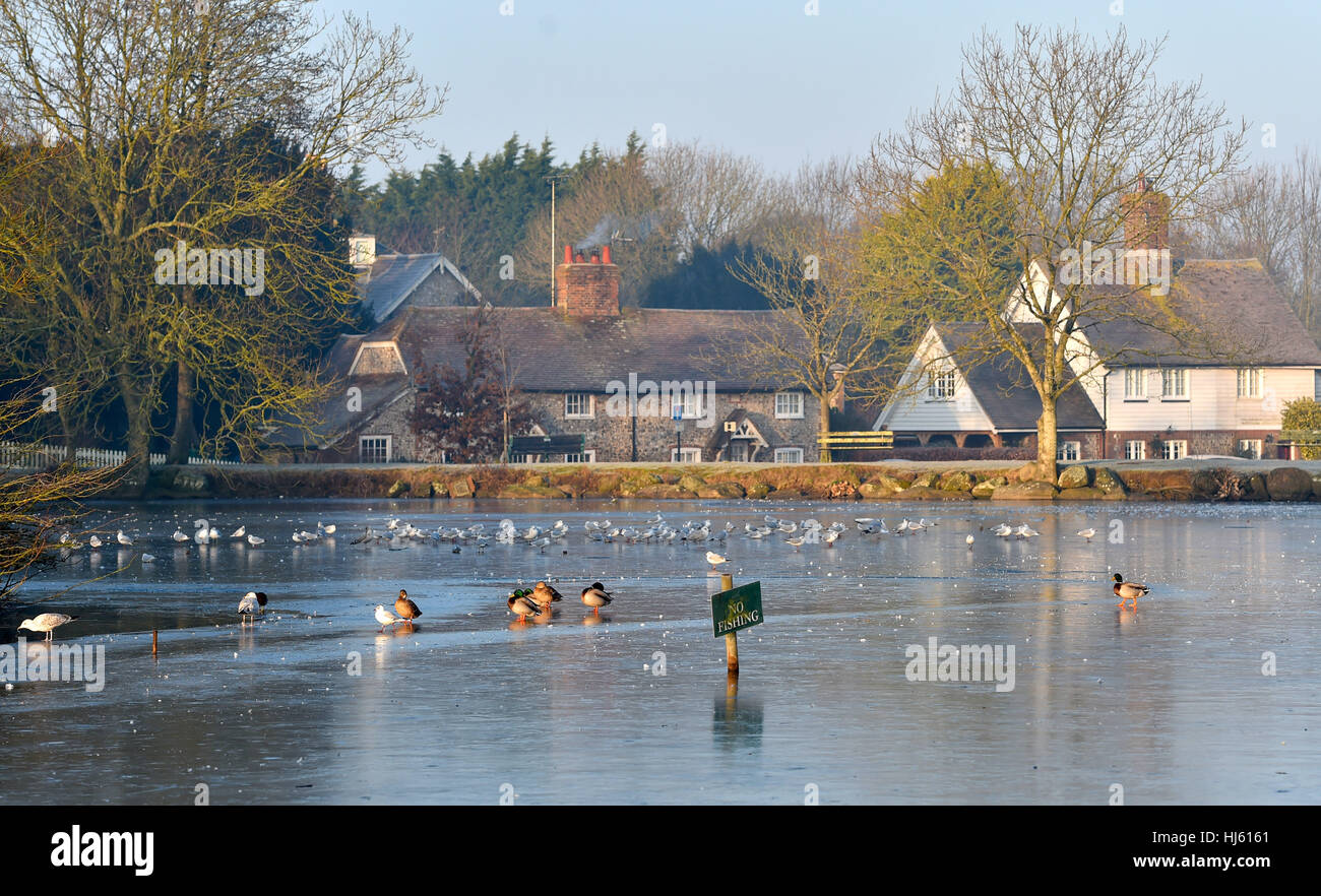Brighton Sussex, UK. 22nd Jan, 2017. Falmer pond frozen over in the ...
