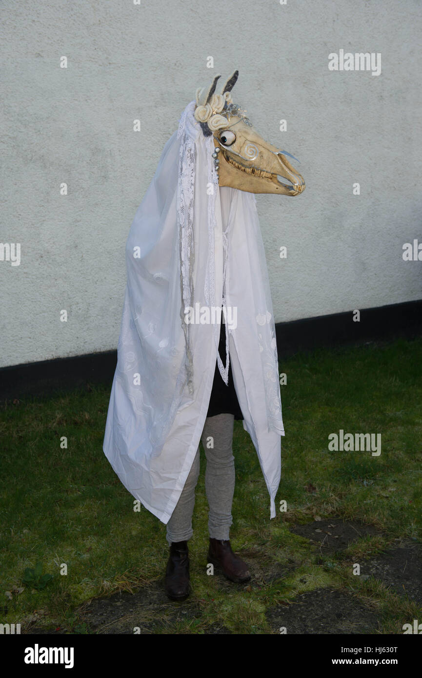 Chepstow, UK. 21st January, 2017. Eleanor Flaherty with Mari Arianrhod ...