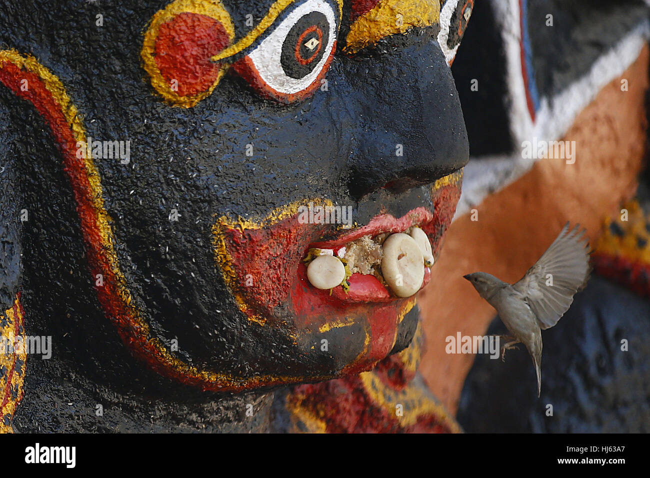 Kathmandu, Nepal. 22nd Jan, 2017. A sparrow reaches towards the mouth ...