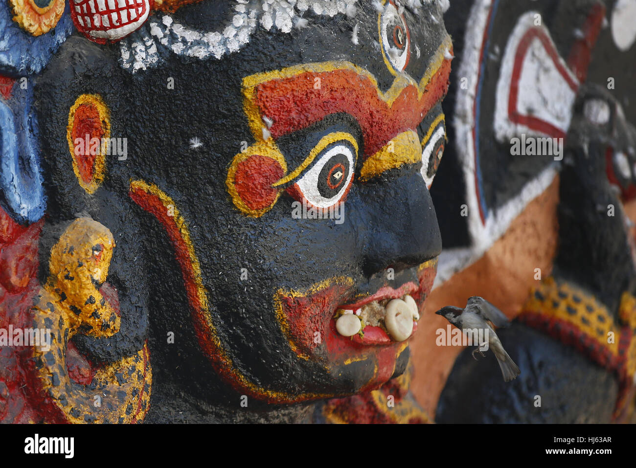 Kathmandu, Nepal. 22nd Jan, 2017. A sparrow reaches towards the mouth ...
