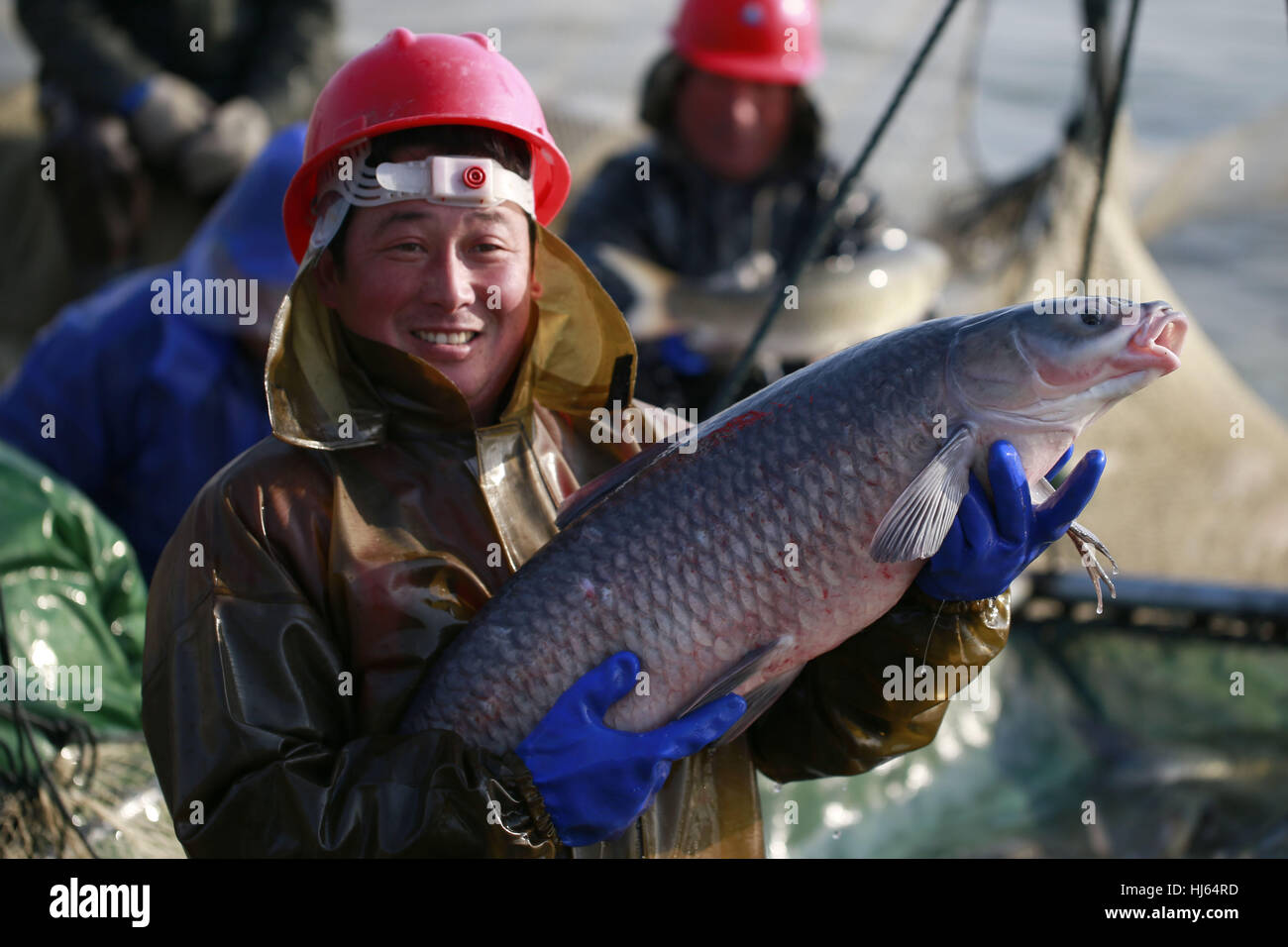 Xuyi, China's Jiangsu Province. 26th Jan, 2017. A breeder shows fish ...