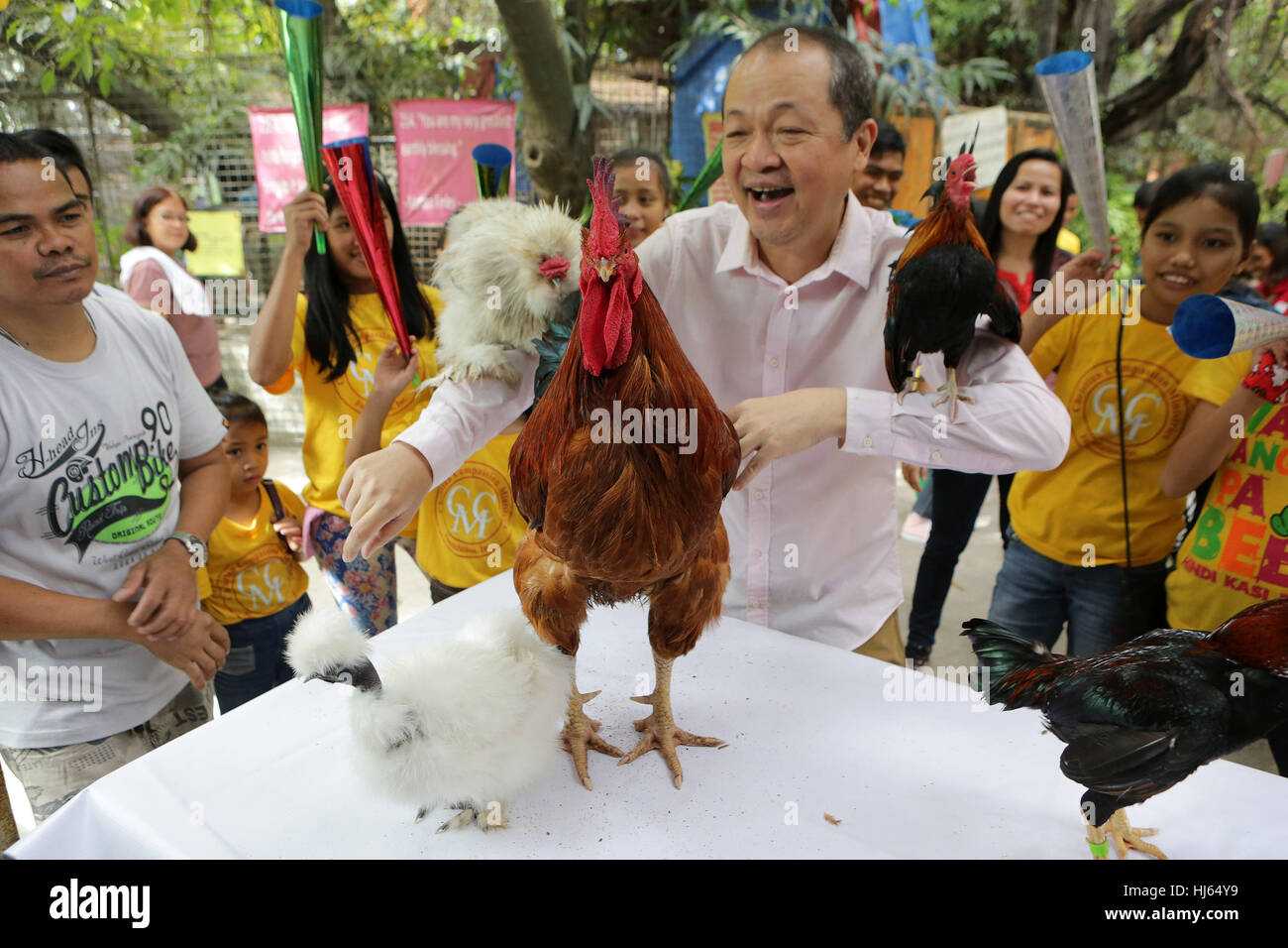Filipino rooster hi-res stock photography and images - Alamy