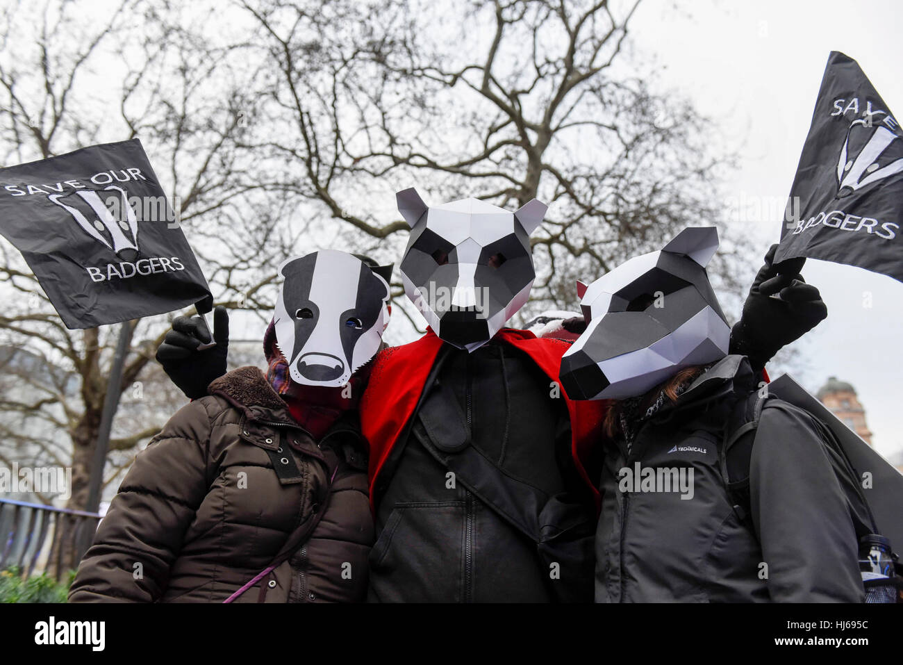 London, UK. 26 January 2017. Activists take part in a "Save the Badger ...