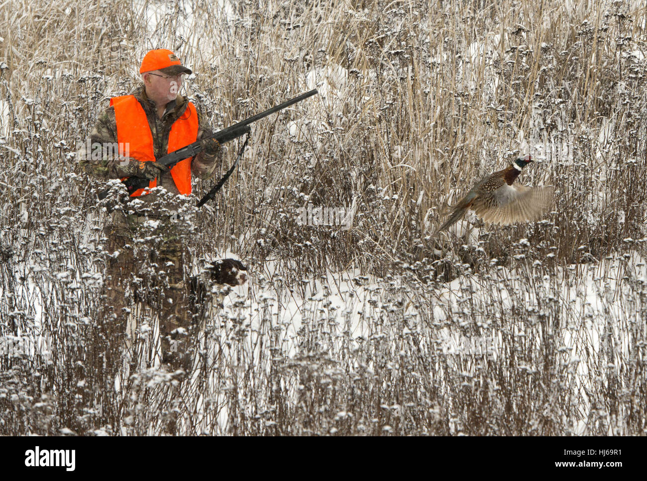 Spokane, WA, USA. 23rd Dec, 2016. Kit Conklin and Keith Conklin hunt ...