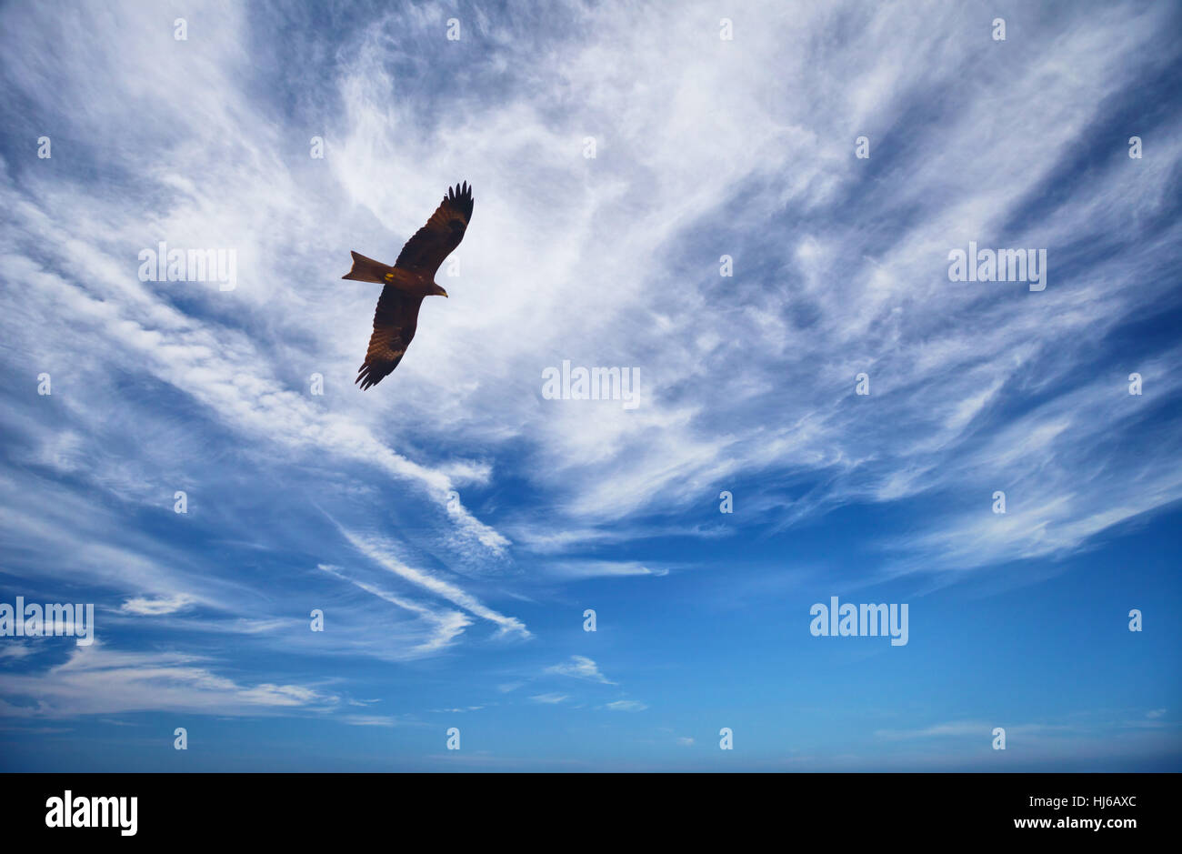 sight, view, outlook, perspective, vista, panorama, lookout, landscape ...