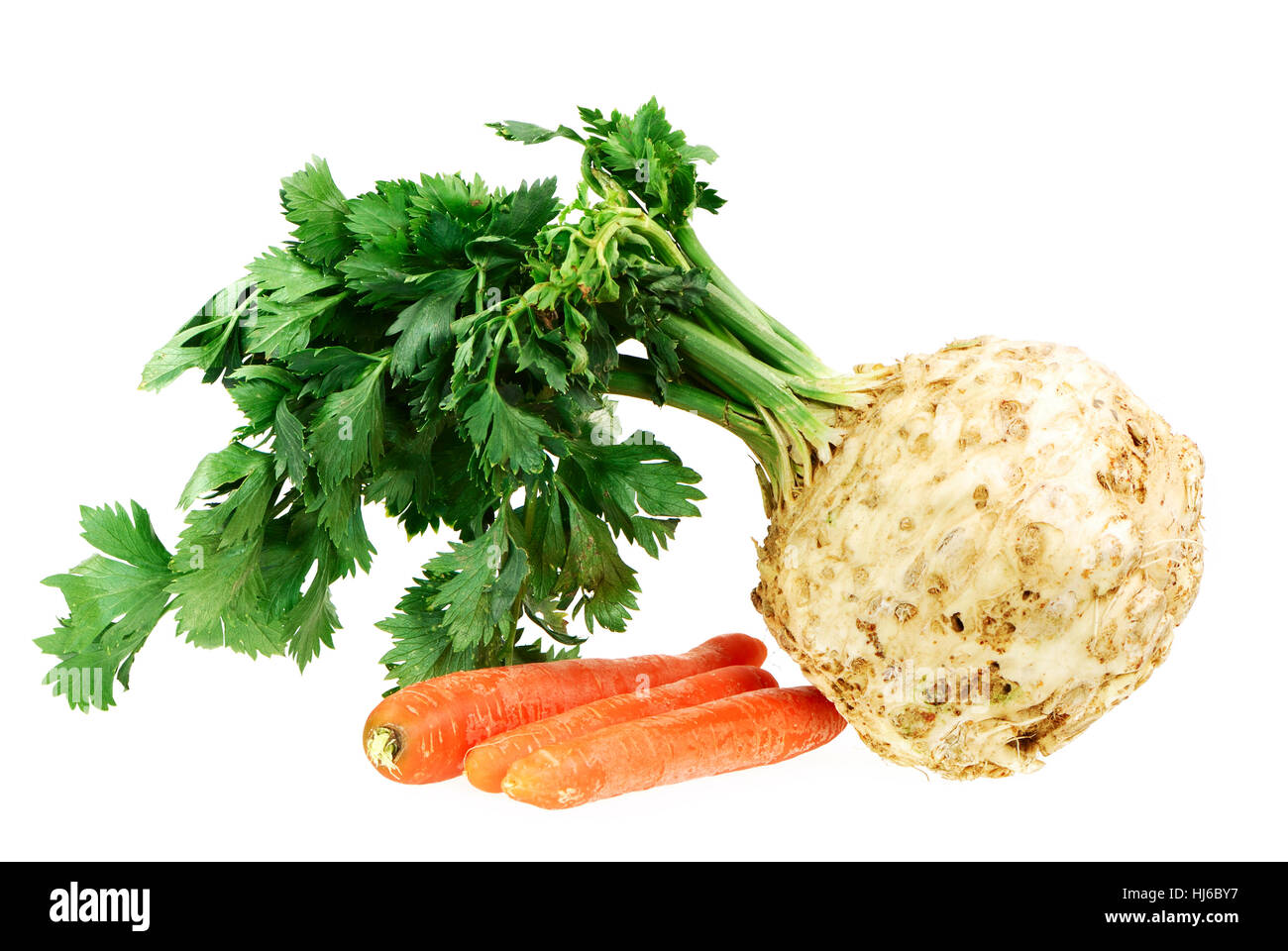 food, aliment, closeup, ripe, root, vegetable, bunch, celery ...
