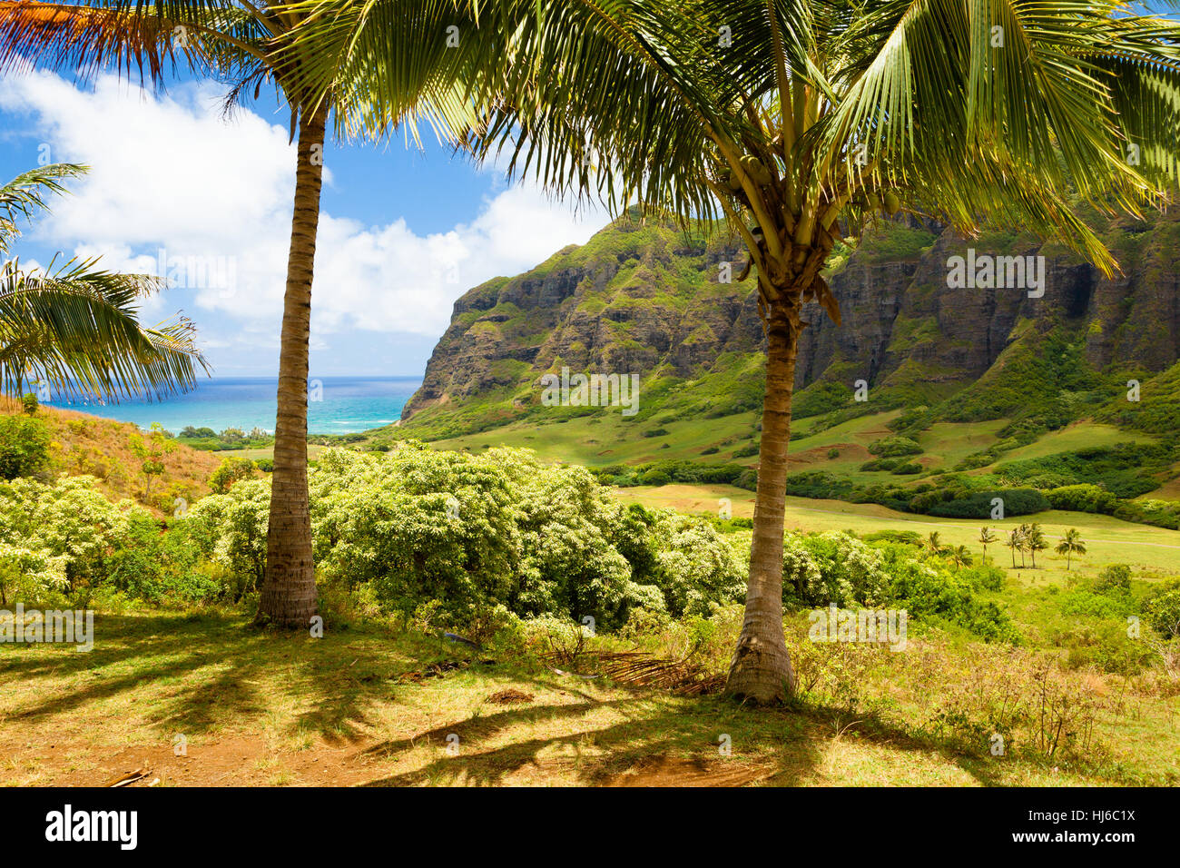 Oahu Hawaii Ka'a'awa Valley Stock Photo - Alamy