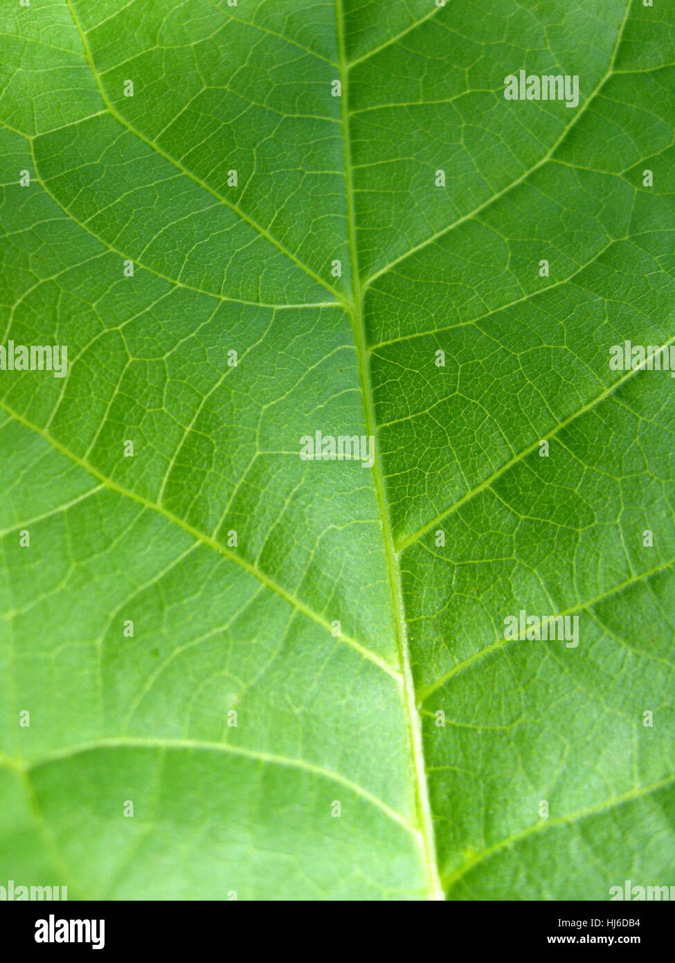 abstract, signboard, advertising, scenery, countryside, nature, lawn ...