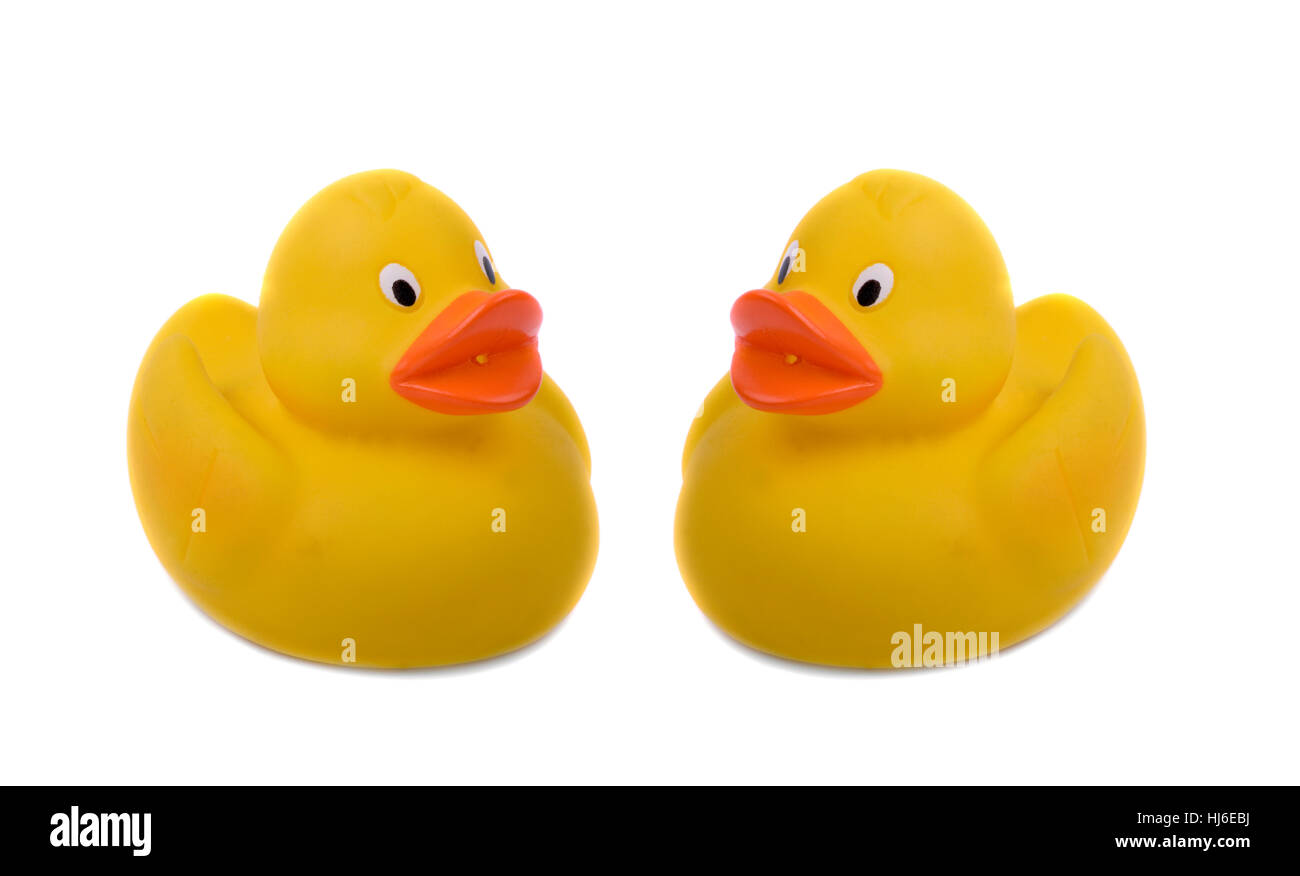 Rubber duck couple hi-res stock photography and images - Alamy